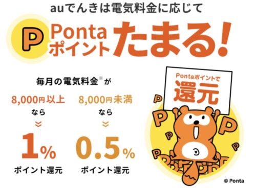 Pontaでんきとauでんきの違いは？ポイント・電気料金がよりお得なのはどっち？